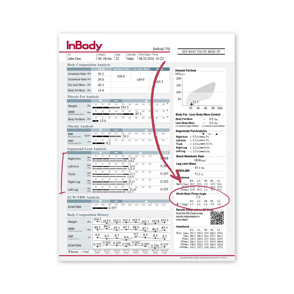 ميزان تحليل مكونات الجسم Inbody 770 - سباكير Spacare الأدوات الرياضية والعناية الصحية في مكان واحد